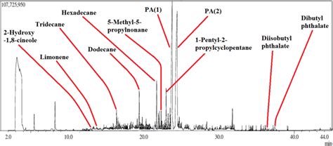 GC headspace total ion chromatogram of 0 5 µL injection of P squarrosa