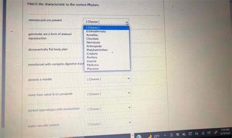 Match The Characteristic To The Correct Phylum