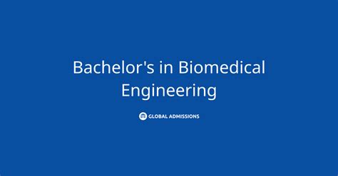 Bachelors In Biomedical Engineering At Florida State University