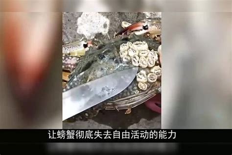 螃蟹全身都长满了藤壶救援小哥耐心营救最后结局十分舒适