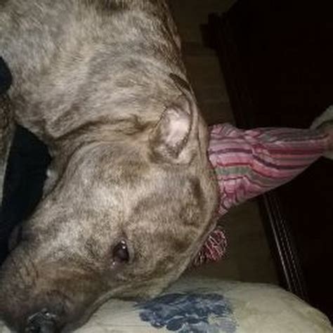 Charlene Hill Youtube