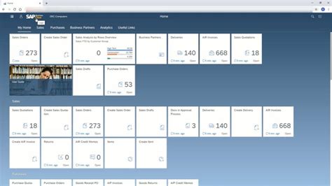 Using The SAP Business One Web Client Part 1 Navigation And