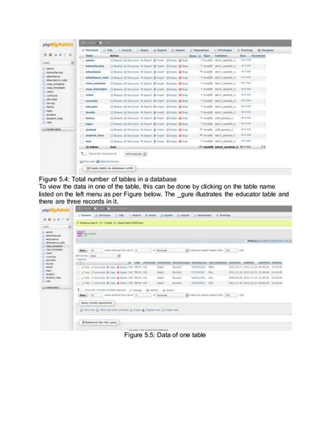 Babe Database Management System PROJECT DOCX Databases Computer Software And Applications