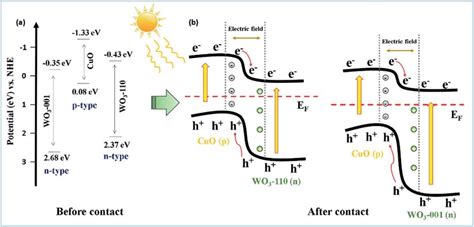 Schematic Diagram Of The Charge Transfer Between P Type Cuo And N Type