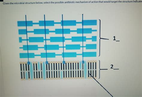 Solved Given The Microbial Structure Below Select The