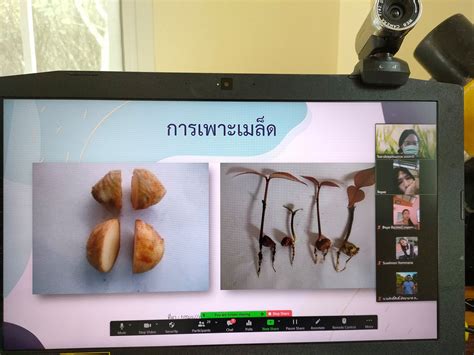 เมื่อวันเสาร์ที่ 31 กรกฎาคม 2564 🖍️โบว์มีสอนออนไลน์ค่ะ เริ่มต้นชั่วโมง