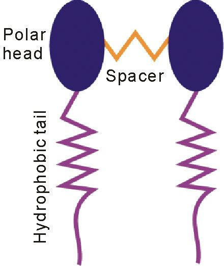 Basic Structure Of A Gemini Surfactant Download Scientific Diagram