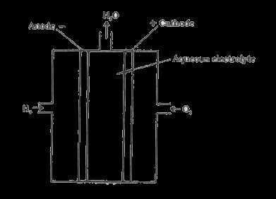Draw A Neat Labelled Diagram Of H2 O2 Fuel Cell Write The Reaction Occ