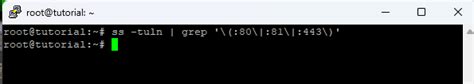 Cara Install Nginx Proxy Manager Di Ubuntu Server