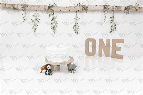 دانلود بک دراپ تولد با دکور پاندا،ببر و فیل تم ساده عکس گراف