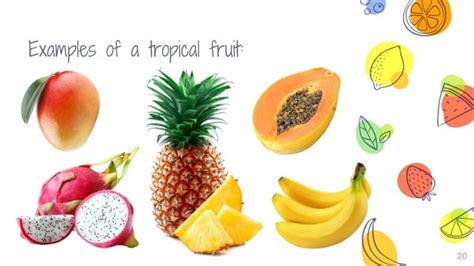 Fruit Classification 1 Pptx Gardening Home And Garden