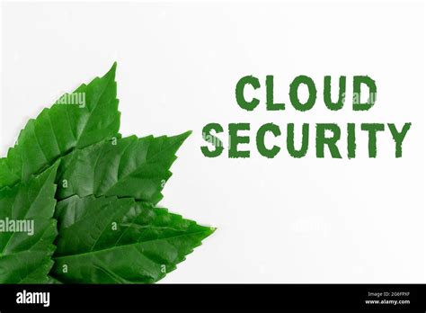 Handwriting Text Cloud Security Internet Concept Imposing A Secured