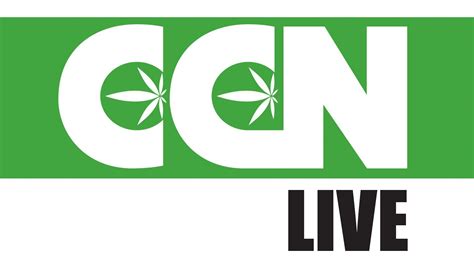 Ccn Logo Logodix
