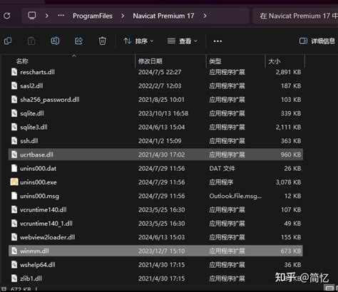 Navicat 最新版（16、17）简体中文版激活教程（亲测） 知乎