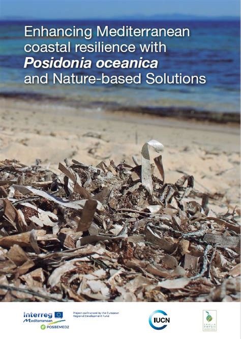 Enhancing Mediterranean Coastal Resilience With Posidonia Oceanica And Nature Based Solutions