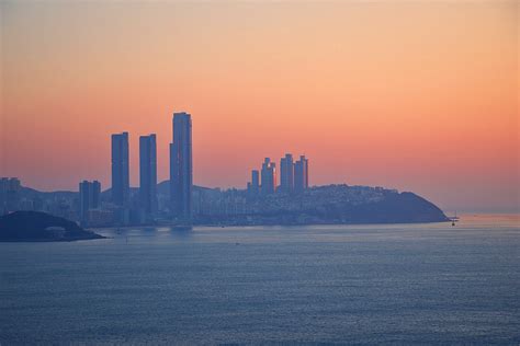 Daum 카페