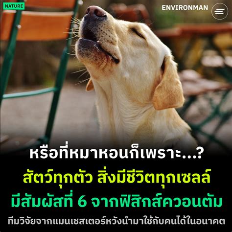 ตต on Twitter RT TarotYouuuu นสนะ เหตผลทแกหอนทกคนเลย หมาหอนเพราะควอนตม