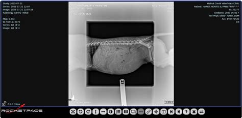 Hands Fifi Cannot Hide Them Any Longer Her Belly Is Big She Has Gained Over A Pound Since