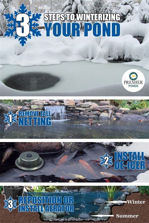 Winterizing Your Pond Essential Steps
