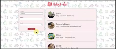 Launching Adopt Me A React App Fady Maher Posted On The Topic Linkedin