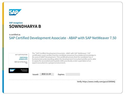 Sap Abap Sapabap Sapabapconsultant Technical Consultant Fresher
