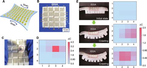 The Integrated Strain Sensor Array ISSA And Its Performance In Download Scientific Diagram