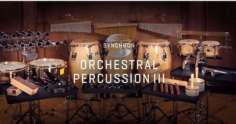 Vienna Symphonic Library Synchron Orchestral Percussi VSLSYY24S