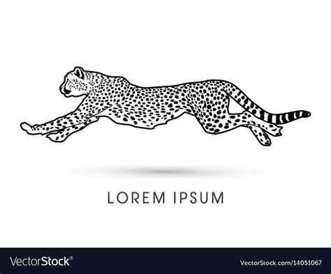 Running Cheetah