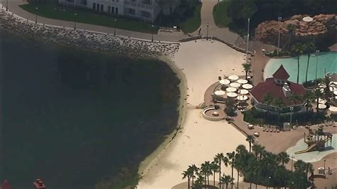 Permanent Safety Barriers Going Up At Disney World To Prevent Alligator
