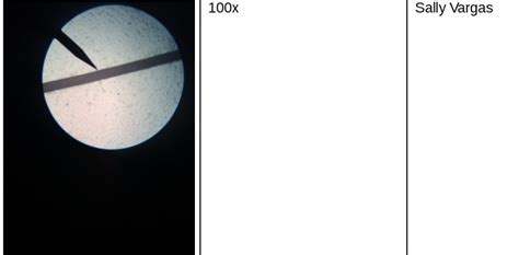 Continuous Medulla Hair Database