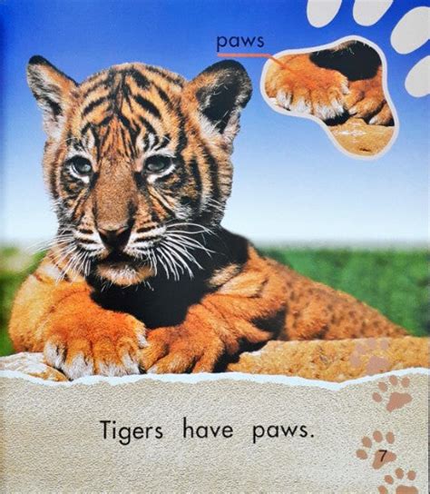 Time To Read Hiss Roar Purr Book 2 Books And You