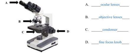 Micro Lab Exam Flashcards Quizlet
