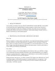 Cassidy Bello Declaration Of Professional Practices And Procedures For