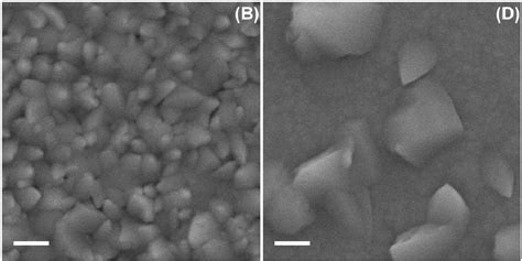 Scanning Electron Micrographs Of The Surfaces Of Zno Thin Films On A Download Scientific