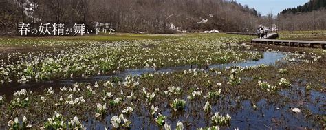 池ケ原湿原 北飛騨の森を歩こう