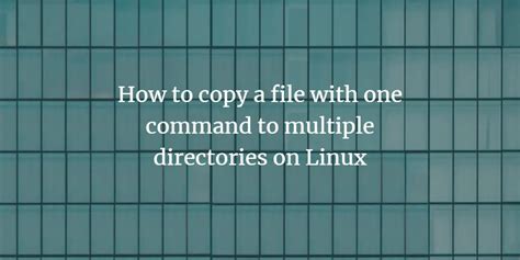 How To Copy A File With One Command To Multiple Directories On Linux Vitux