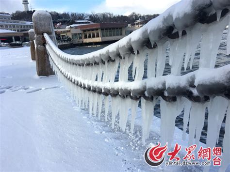 惊艳冰凌海鸥海浪烟台海边进入冰河世纪 海报新闻