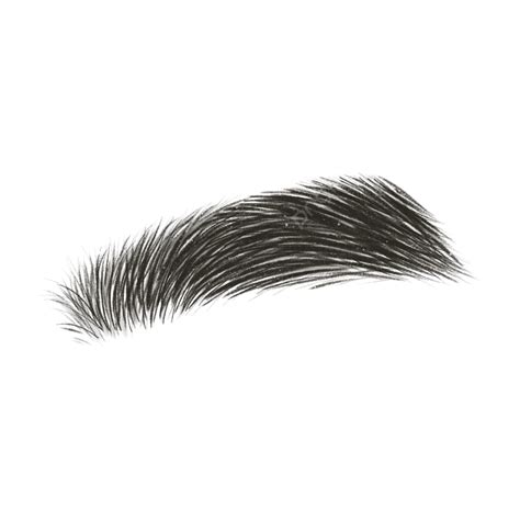 Cejas Png Vectores Psd E Clipart Para Descarga Gratuita Pngtree My