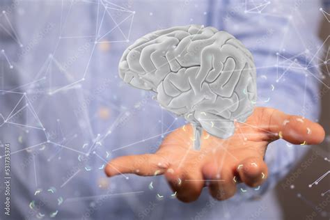 Human Brain Activity With Plexus Lines External Cerebral Connections