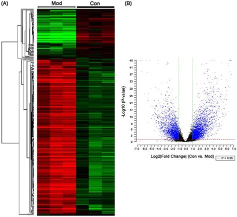 Unsupervised Hierarchical Clustering Analysis A And Volcanno Plot B