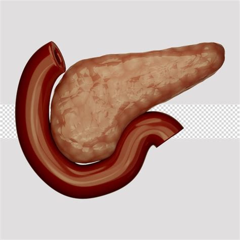 Premium Psd 3d Icon Pancreas