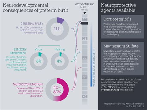 Preterm Birth And The Role Of Neuroprotection The Bmj