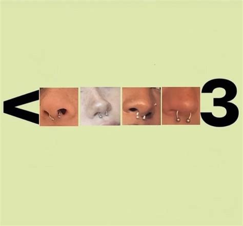 Pin van pauli op relatable Piercing ideeën Sieraden ideeën Piercings
