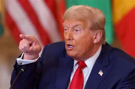 Trump Taxa O Brasil Como Decisão Em Apoio A Bolsonaro Pode Beneficiar