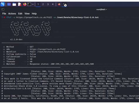 Professional Web Application Penetration Testing Owasp Top Upwork