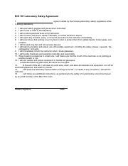 Essential Laboratory Safety Rules For Biology Babes Course Hero