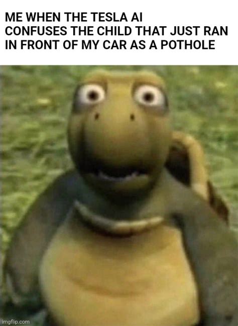Shocked Turtle Memes And S Imgflip