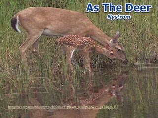 Biblical View Of Sexuality PDF Menopause Endocrine And Metabolic Diseases