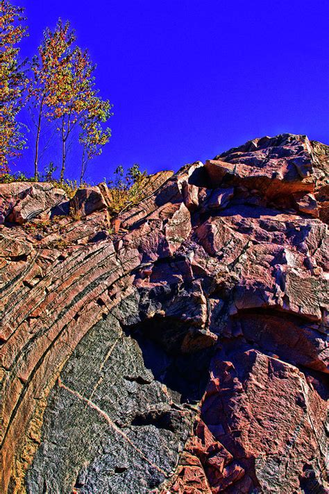 Plants At The Rock Cut 21 Digital Art By Lyle Crump Fine Art America