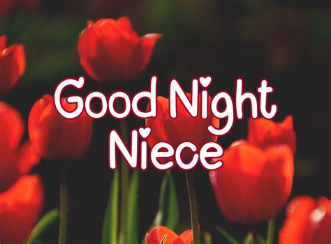 220 Best Good Night Niece Wishes And Messages